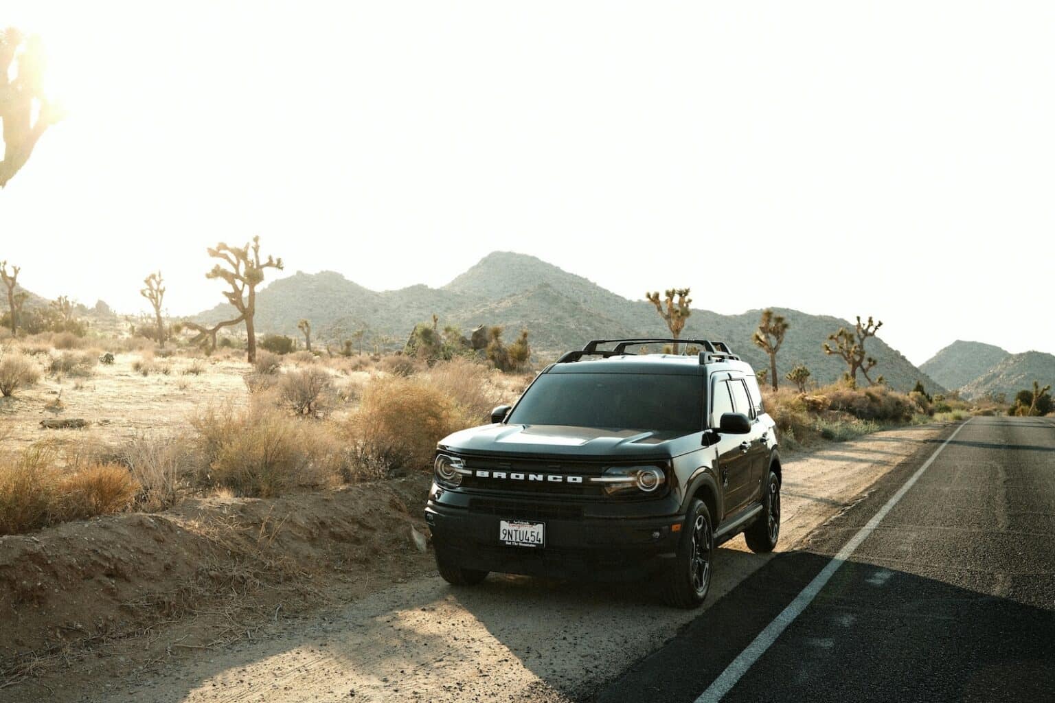 This Is Why You Should Always Look Under Your Car at Joshua Tree ...