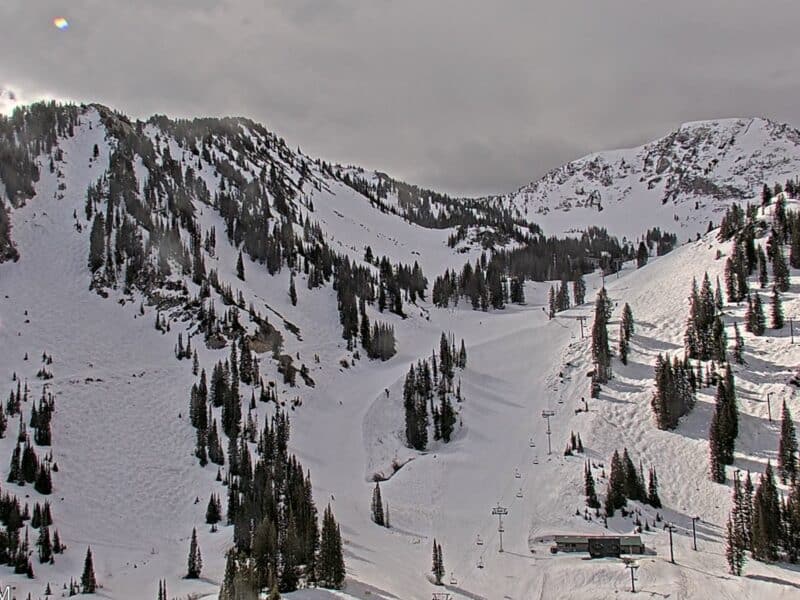 Unofficial Alta Ski Area | Alta ski news, weather and reports