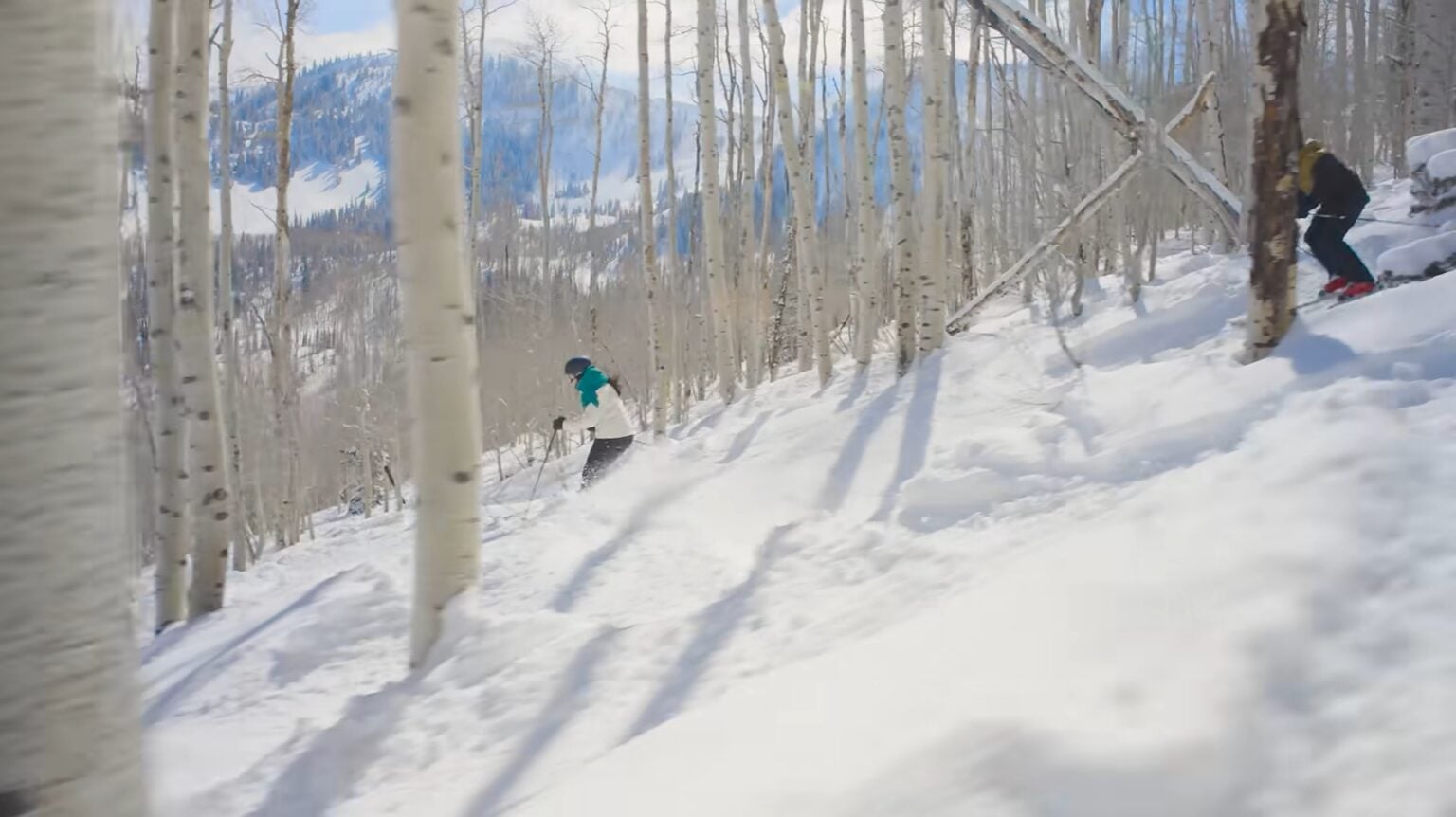 Vail Resorts Reports Brutal Skier Metrics For The 2025-26 Season ...