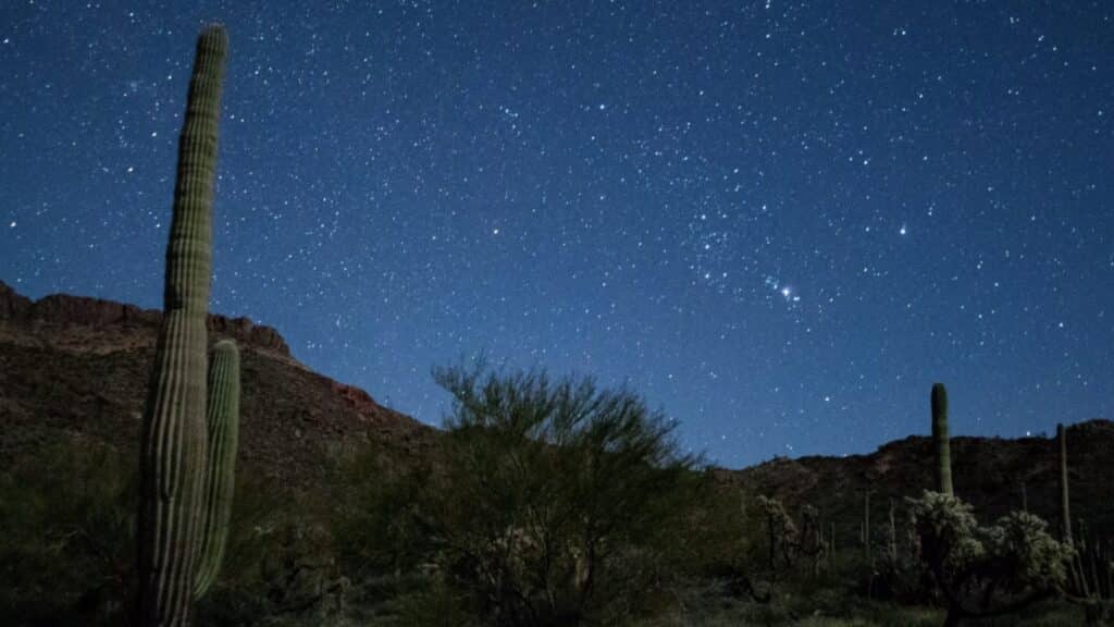 Organ Pipe Cactus National Monument Earns Dark Sky Park Designation ...