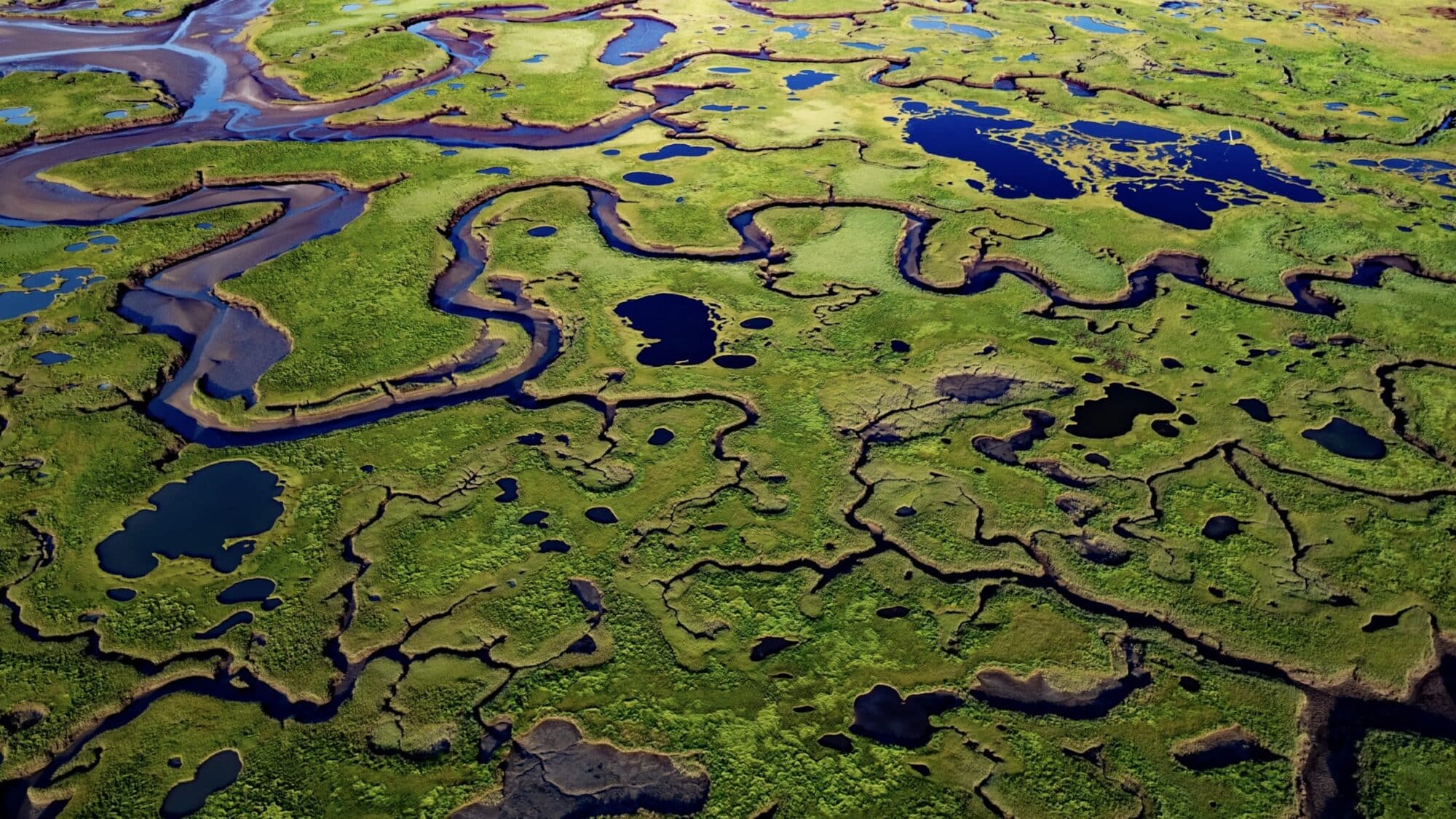 New NOAA Land Maps Deliver Nine Hundred Times More Detail for Local ...
