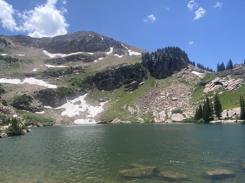 Unofficial Alta Ski Area | Alta ski news, weather and reports
