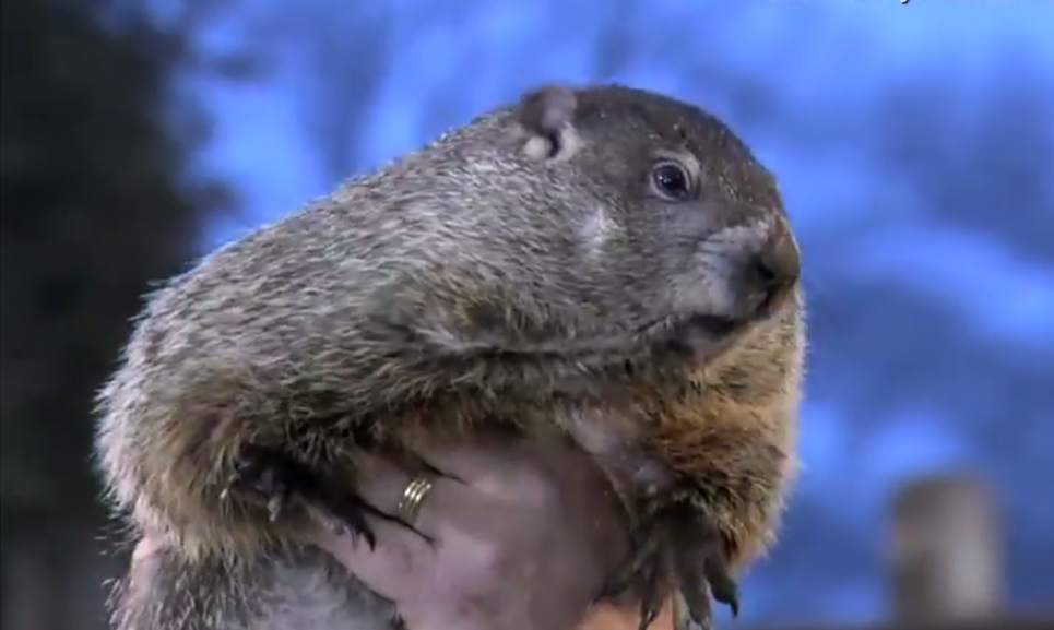 Yesterday Was Groundhog Day Here s What You Missed Unofficial Networks yesterday-was-groundhog-day-here-s-what-you-missed-unofficial-networks