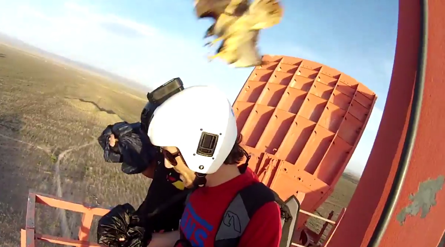 Hawk dive bombs Basejumpers on top of an antenna | Unofficial Networks