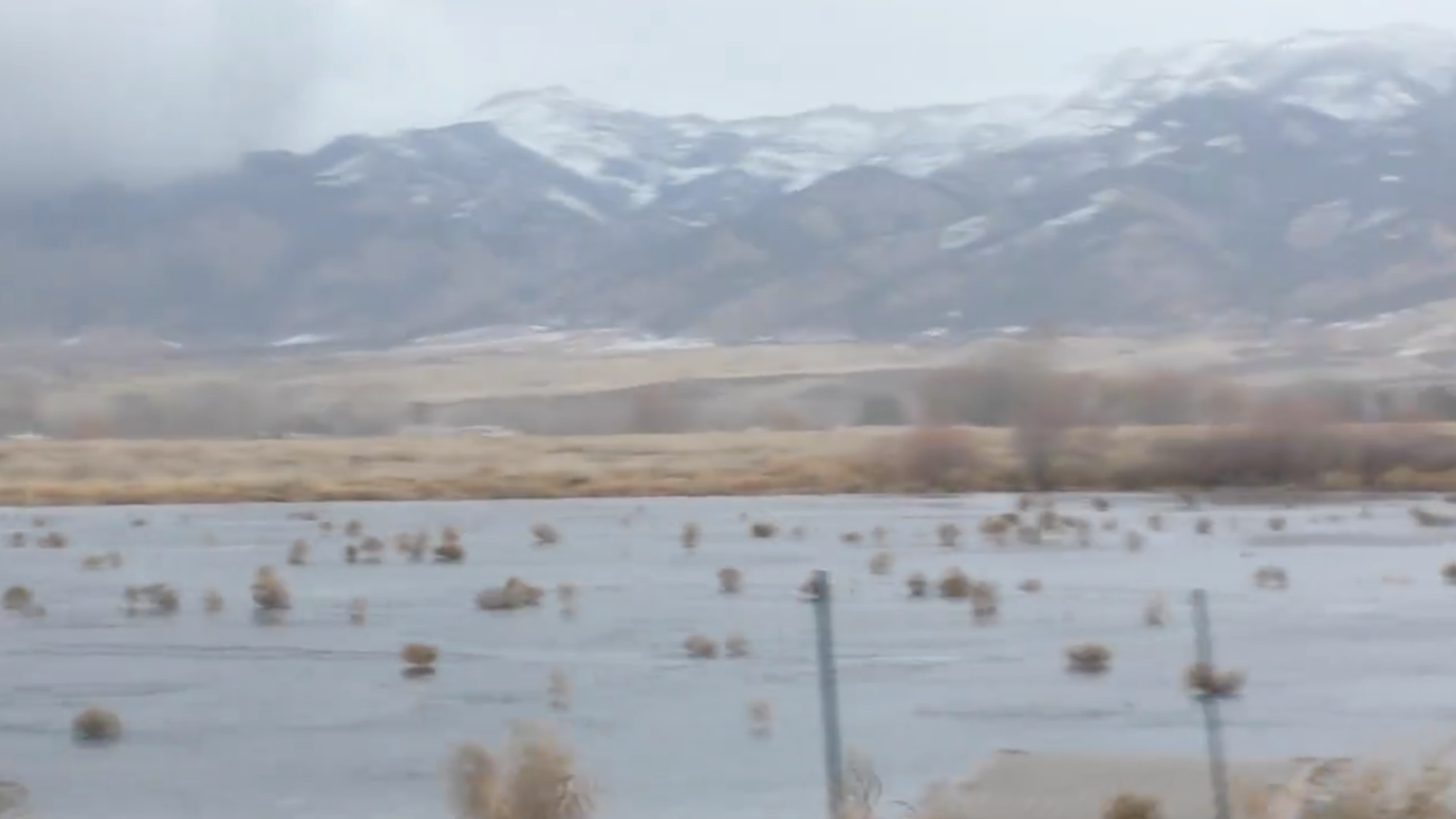 Watch: ‘Apocalypse’ Winds Hit Montana Send Thousands Of Tumbleweeds Flying