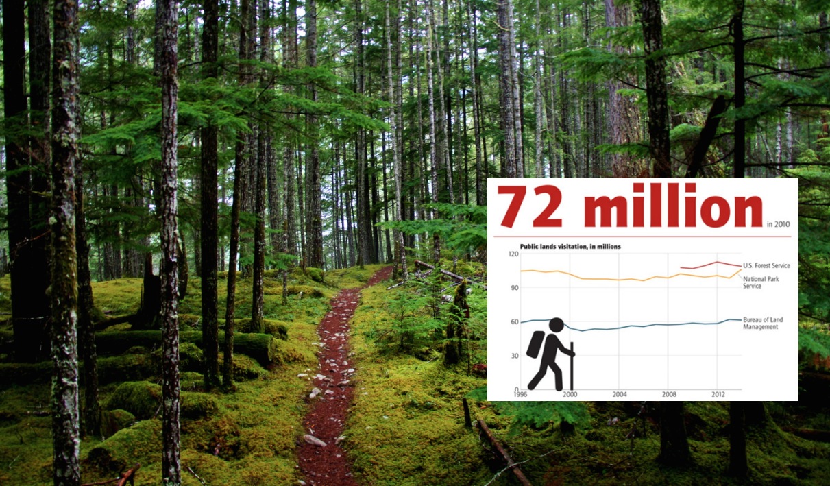 Infographic: How Our Public Land Is Used | Unofficial Networks