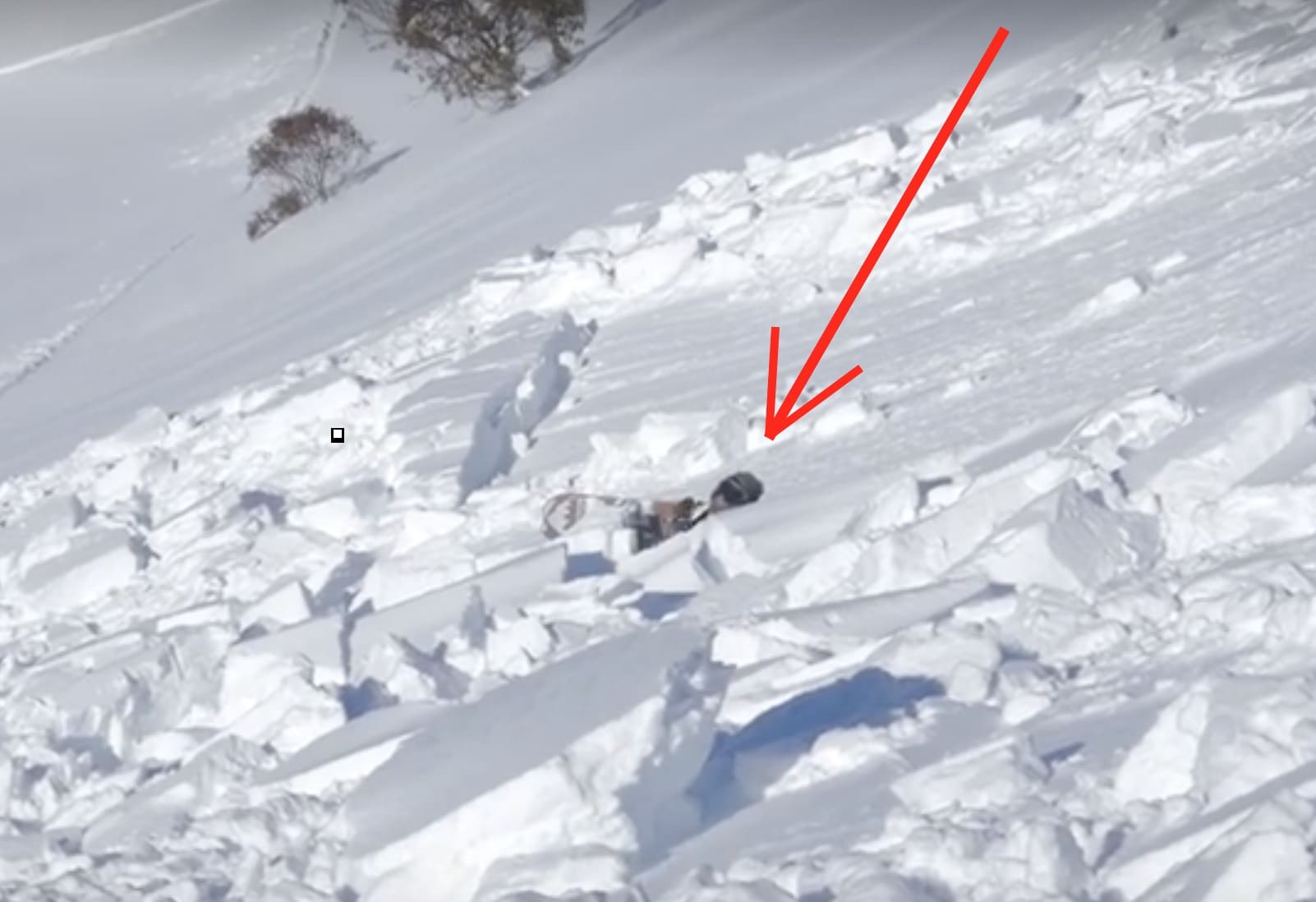 WATCH: ‘Billy’ The Snowboarder Gets Caught In Avalanche Outside Of Perisher