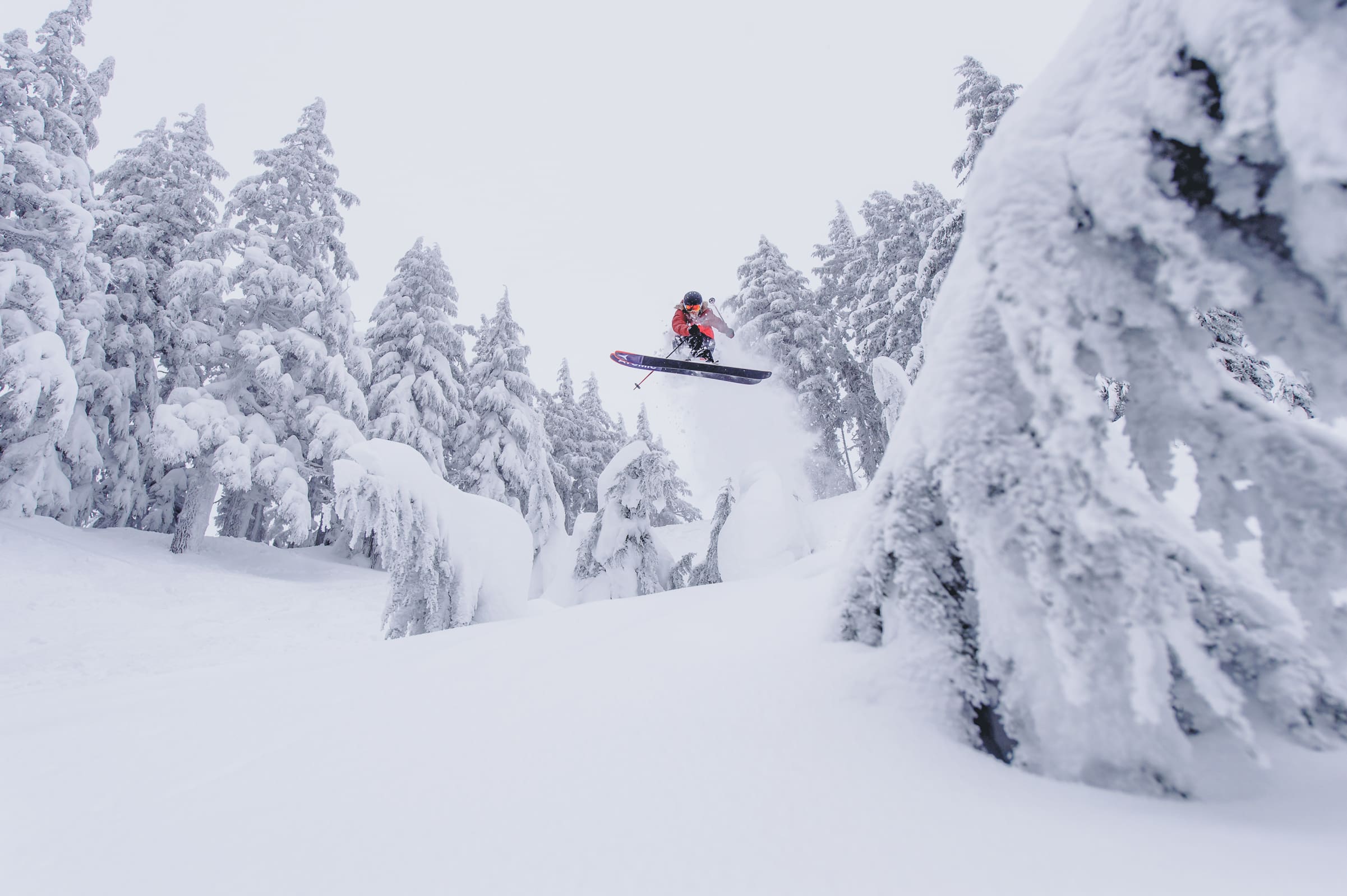 Sage Cattabriga-Alosa | Unofficial Networks