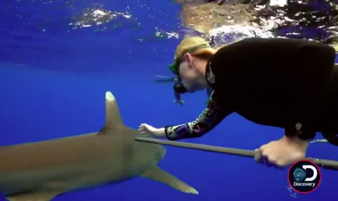 WATCH: Lindsey Vonn Joins ‘SHARK WEEK’ With Rob Gronkowski & Aaron Rodgers