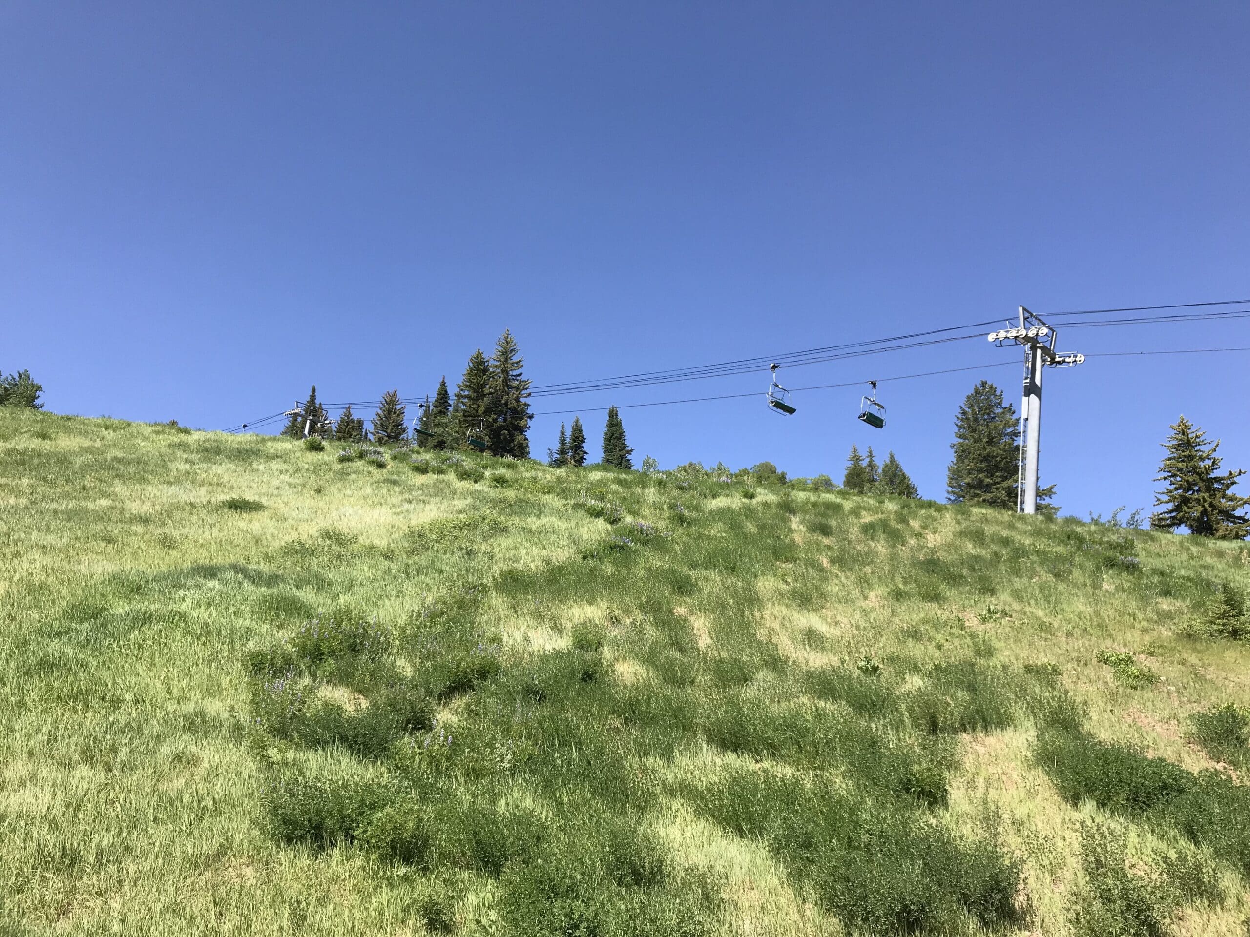 Hiking Lift Lines: A Guide To Finding Treasure! | Unofficial Networks