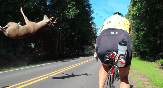 WATCH: Car Hits Deer, Deer Nearly Hits Cyclists