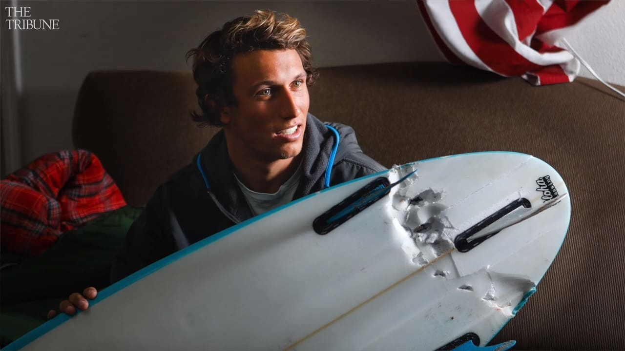 Cal Poly Student Lucky To Be Alive After 15ft Great White Shark Attacks ...