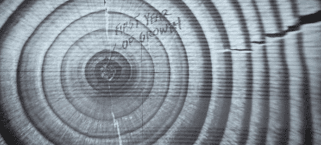 WATCH: Patagonia Films Presents “Treeline” A Story Written in Rings