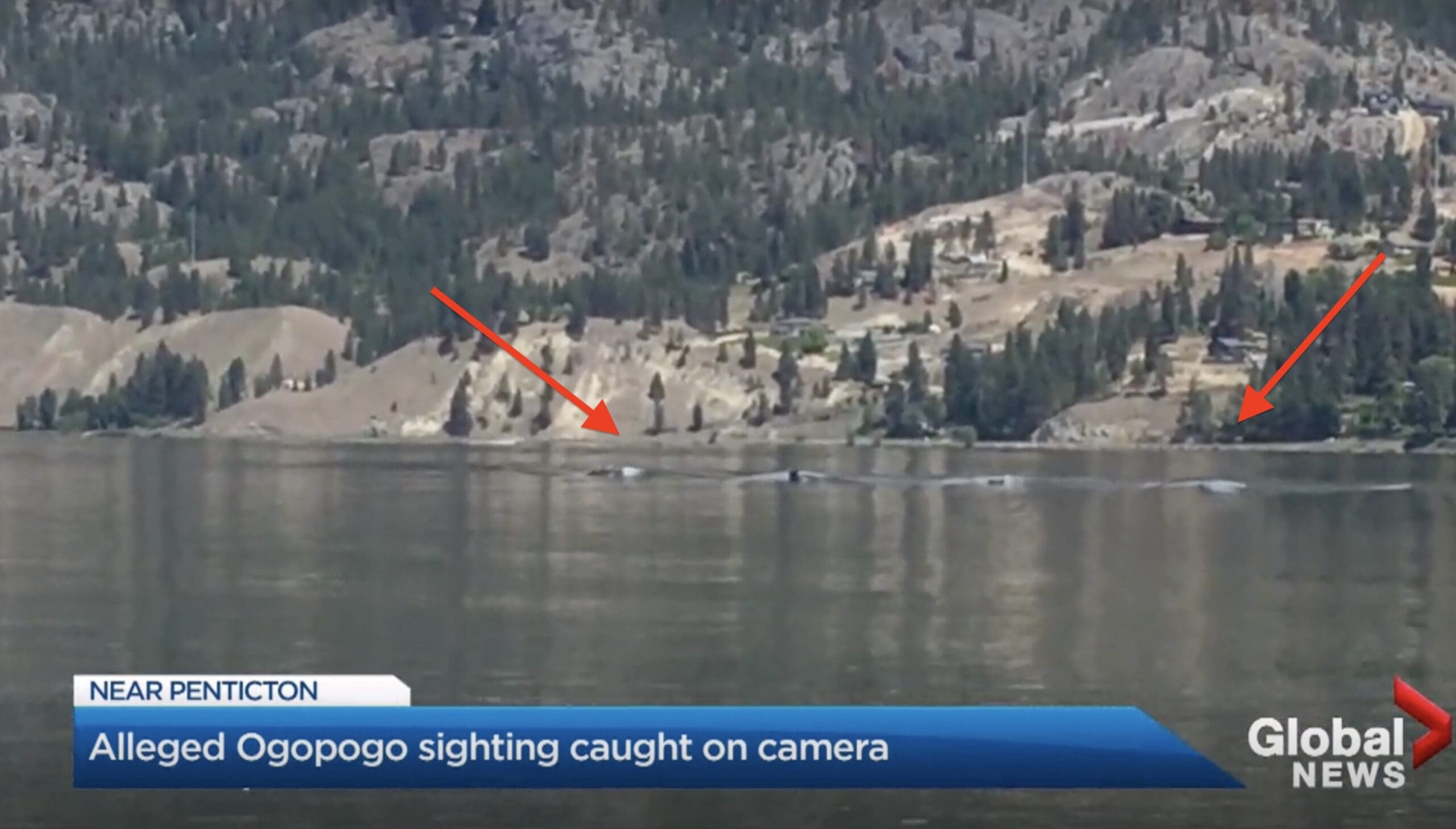 Canadian Man Believes He Has Definitive Footage Of A ‘Ogopogo’ Lake ...