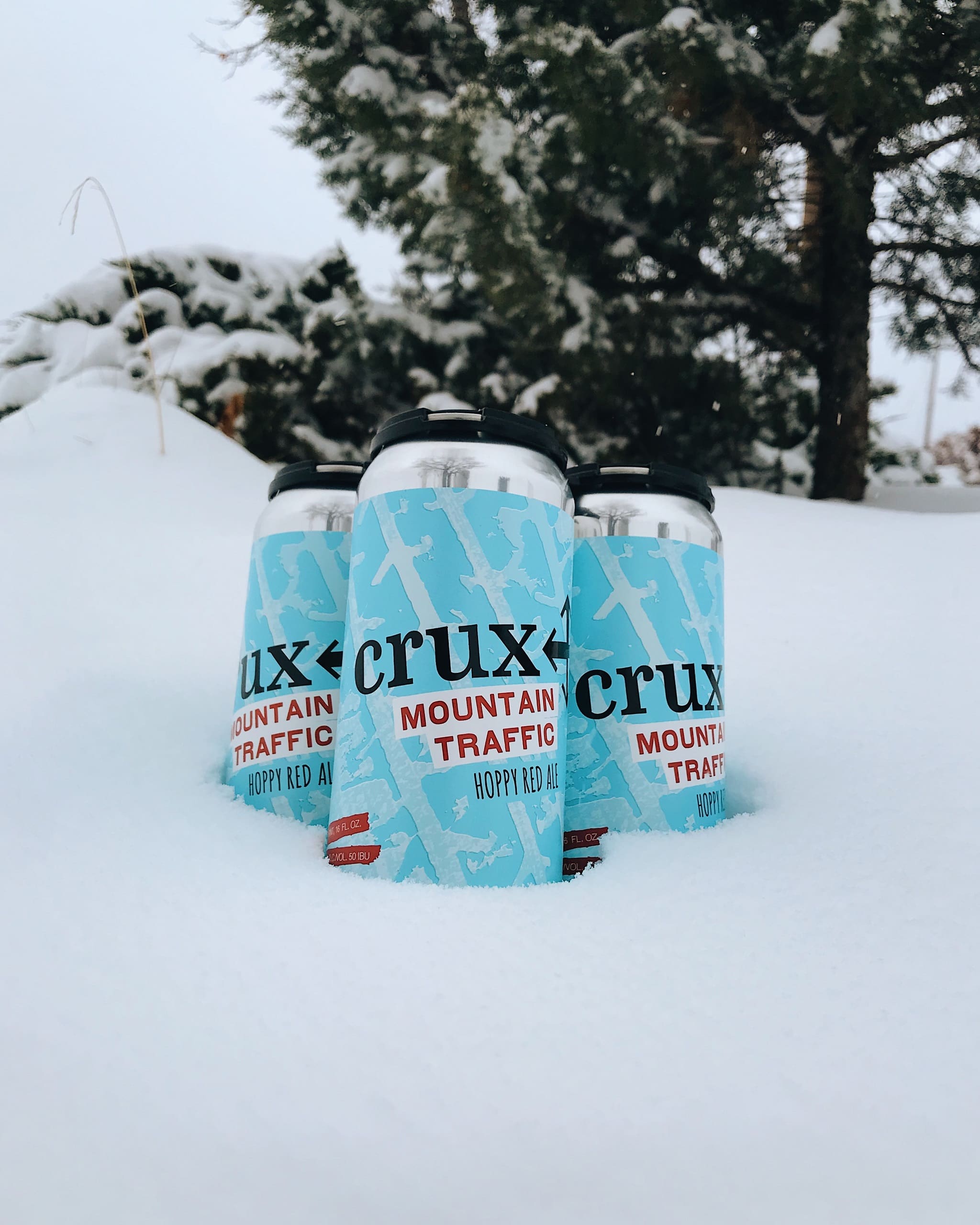 The Best Ski Themed Beers | Unofficial Networks