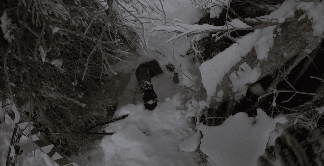 Near-Death Tree Well Incident Caught On Camera | Unofficial Networks