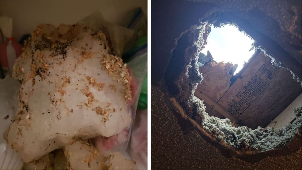 Meteorologists Puzzled By “Basketball-Sized” Hail | Unofficial Networks