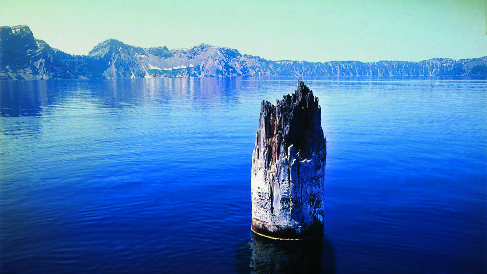 The 40′ Tree Stump That’s Been Floating Upright In Crater Lake For 100 ...