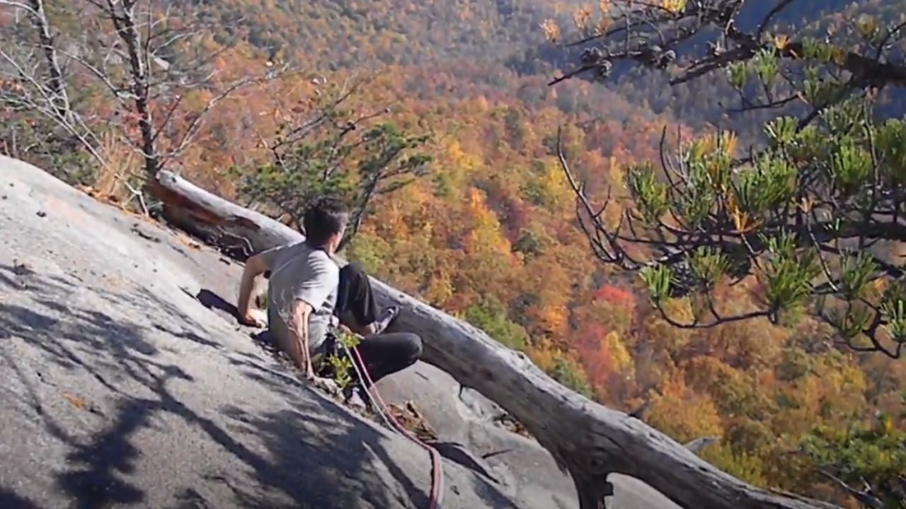 Climbers Push Dead Tree Over Cliff (Crazy Video)