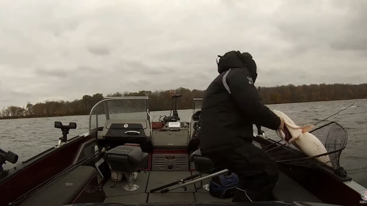 Fishermen Catches Monster 50lb Muskie