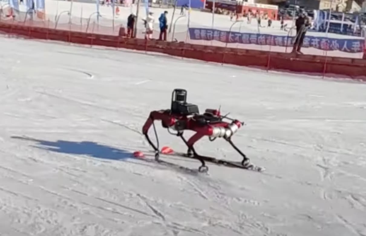 Chinese Team Develops “Skiing Robot” With Intelligent Recognition ...