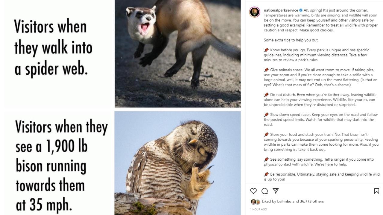 National Parks Service Roasts Visitors With Meme