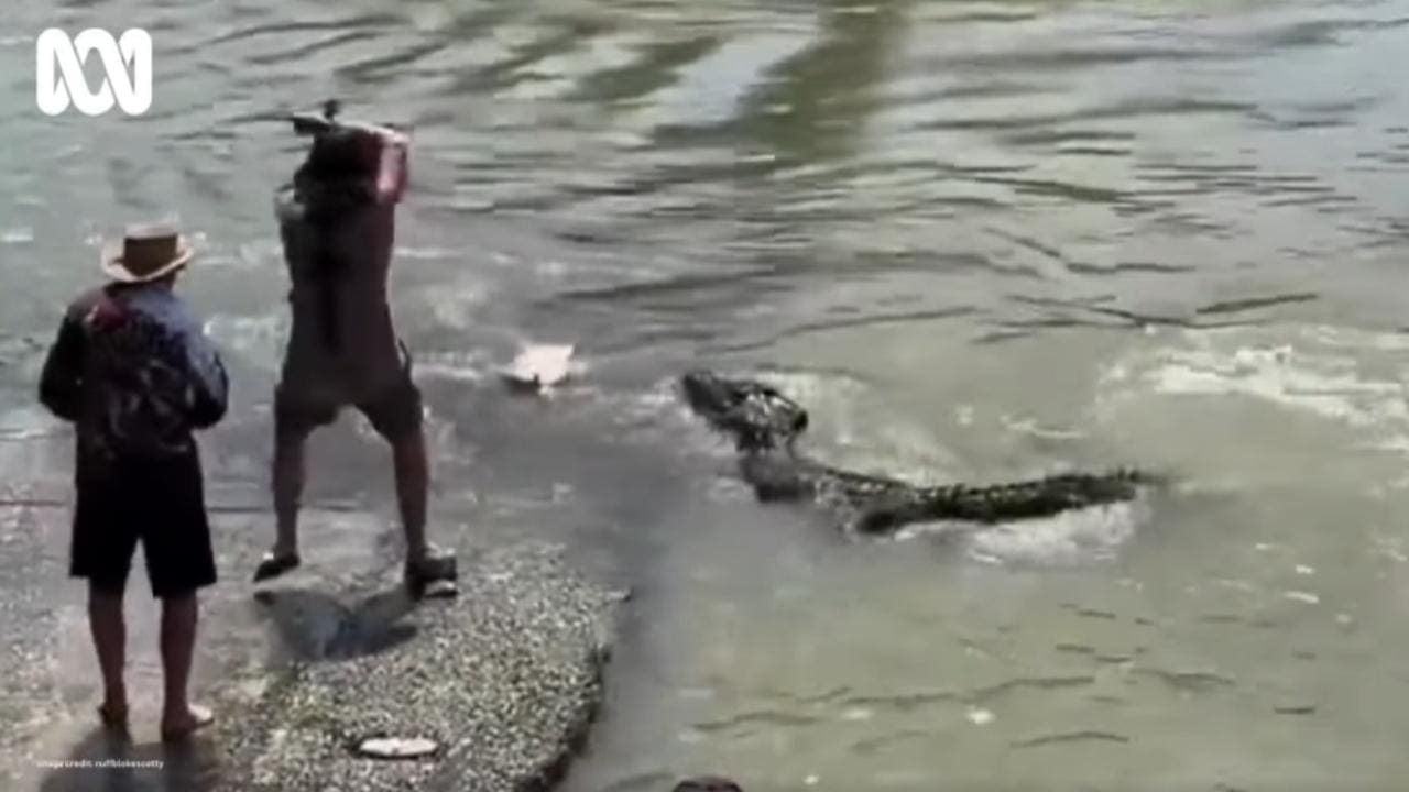 Aussie Fisherman Fights Crocodile For Trophy Catch (Watch)