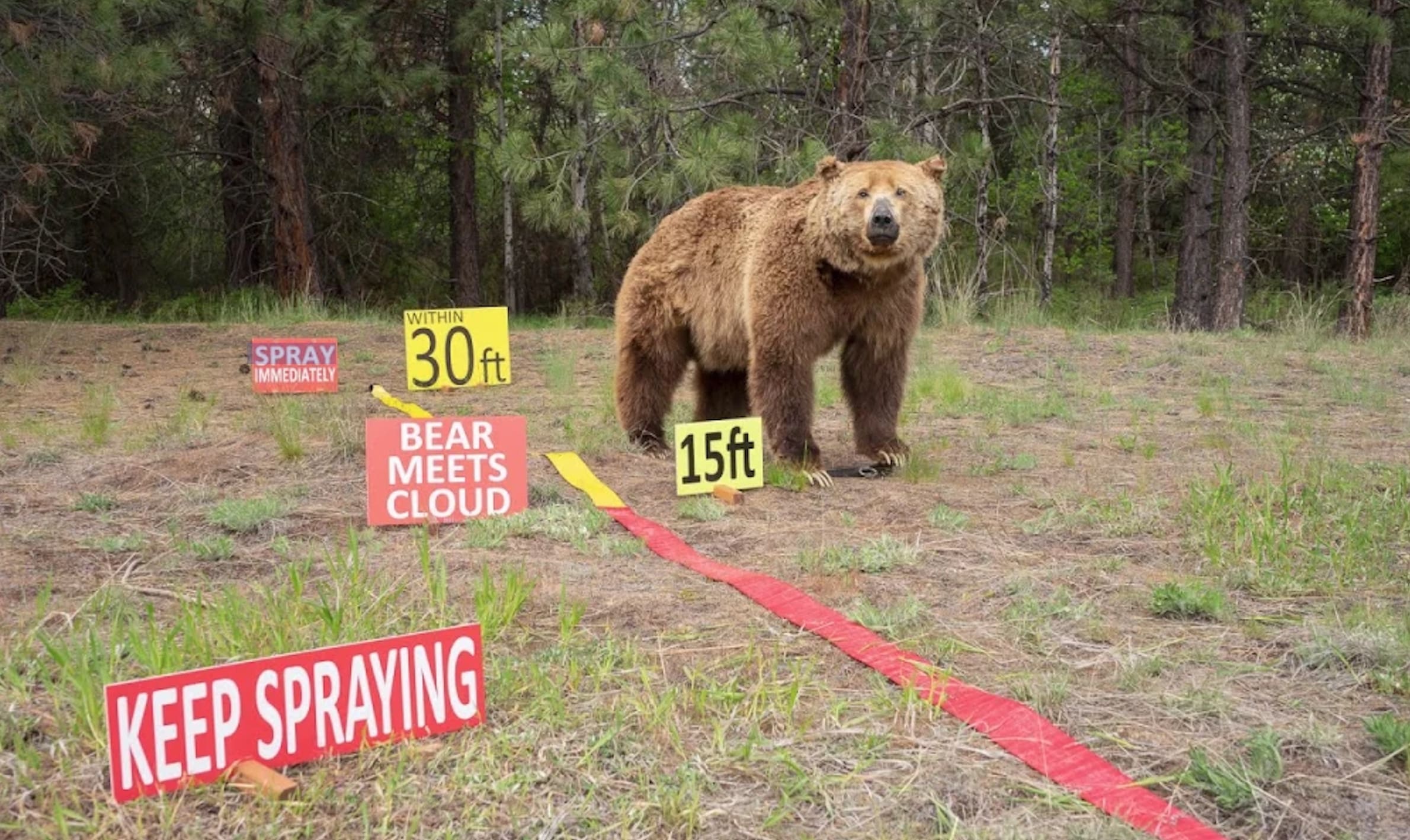 WATCH: How To Properly Deploy Bear Spray