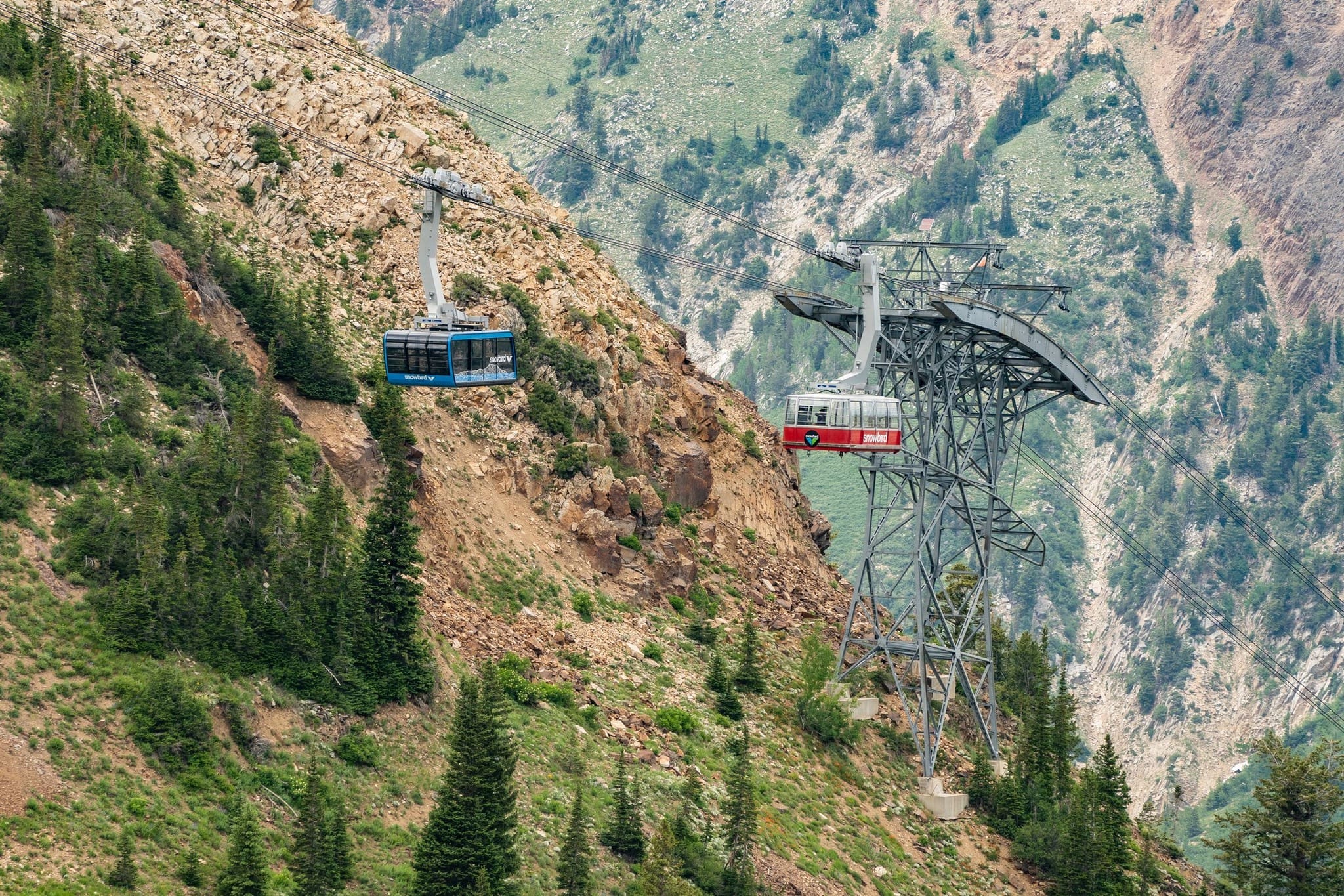 Snowbird Debuts New Tram Featuring Windows In Floors