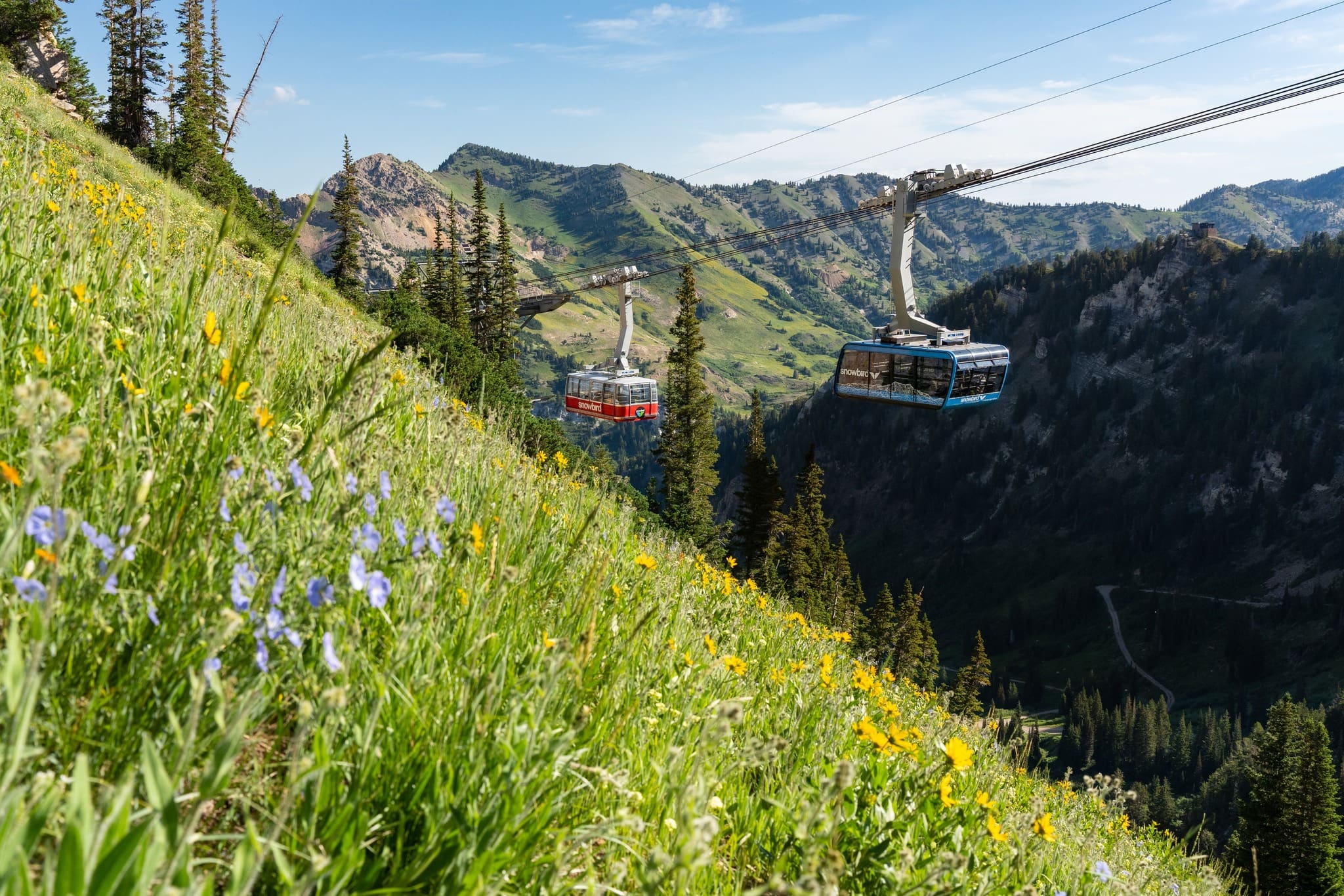 Snowbird Debuts New Tram Featuring Windows In Floors