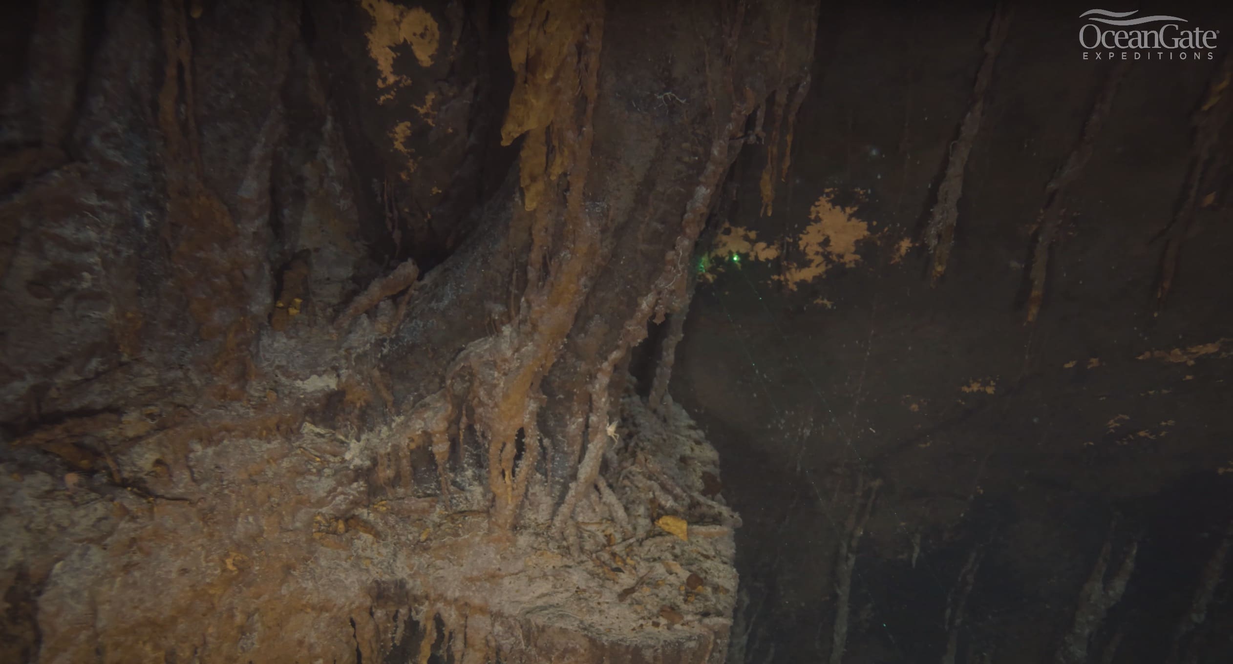 WATCH: First-Ever 8K Footage Of The Sunken Titanic