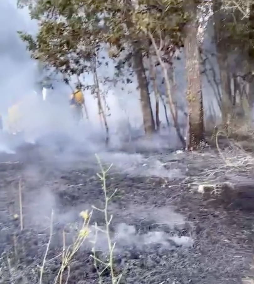 Wildfire At Utah Ski Resort Could Have Been Arson