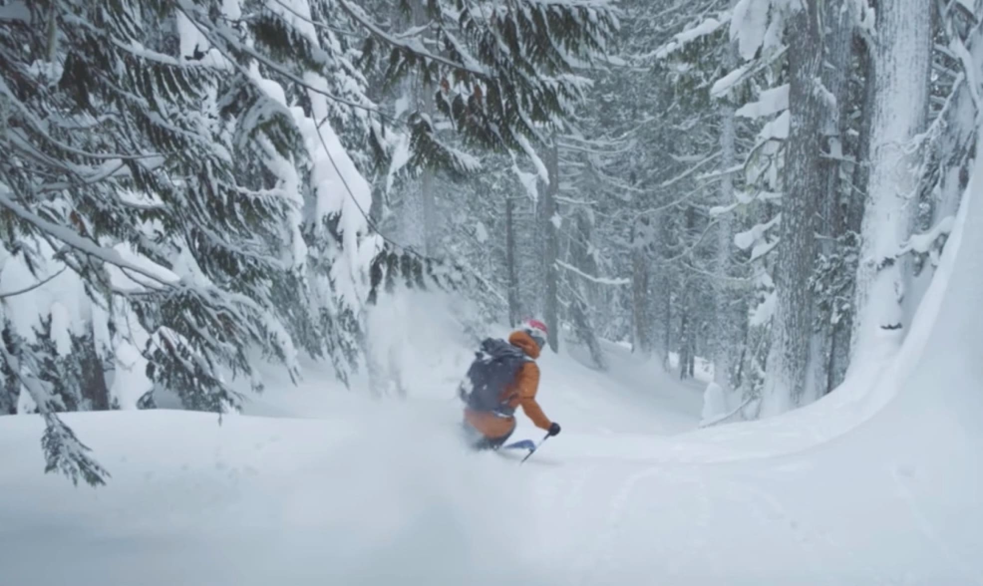 Patagonia Produced My Favorite Tree Skiing Segment of All Time
