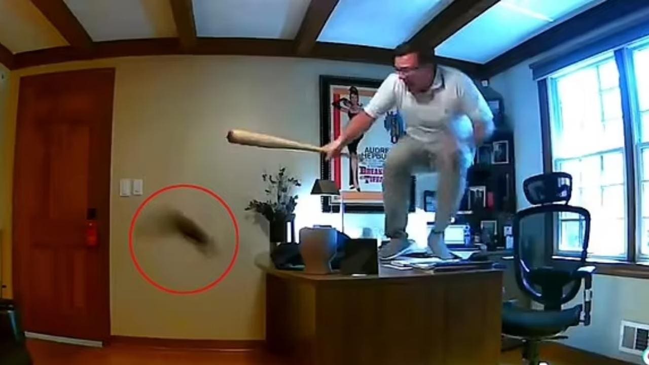 Hilarious Video: Man Freaks Out As Squirrel Interrupts Zoom Call Hilarious Video: Man Freaks Out As Squirrel Interrupts Zoom Call