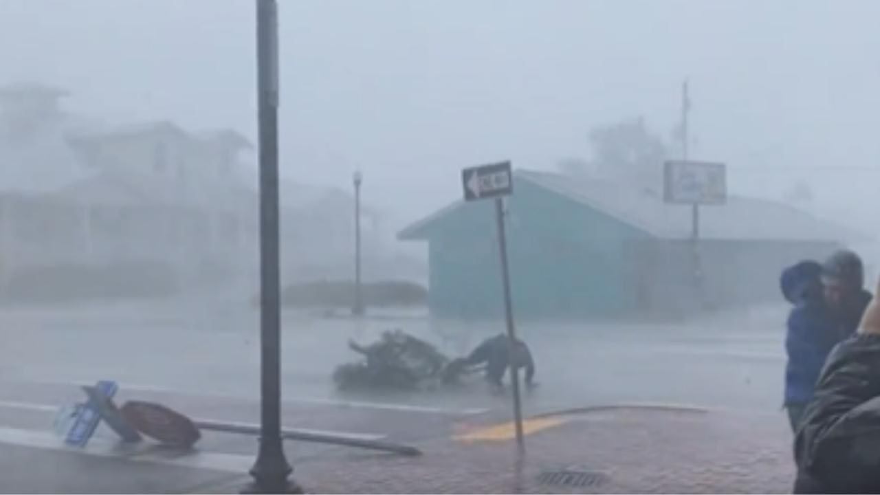 150mph Wind Sends Branch Slamming Into Weatherman (Watch)