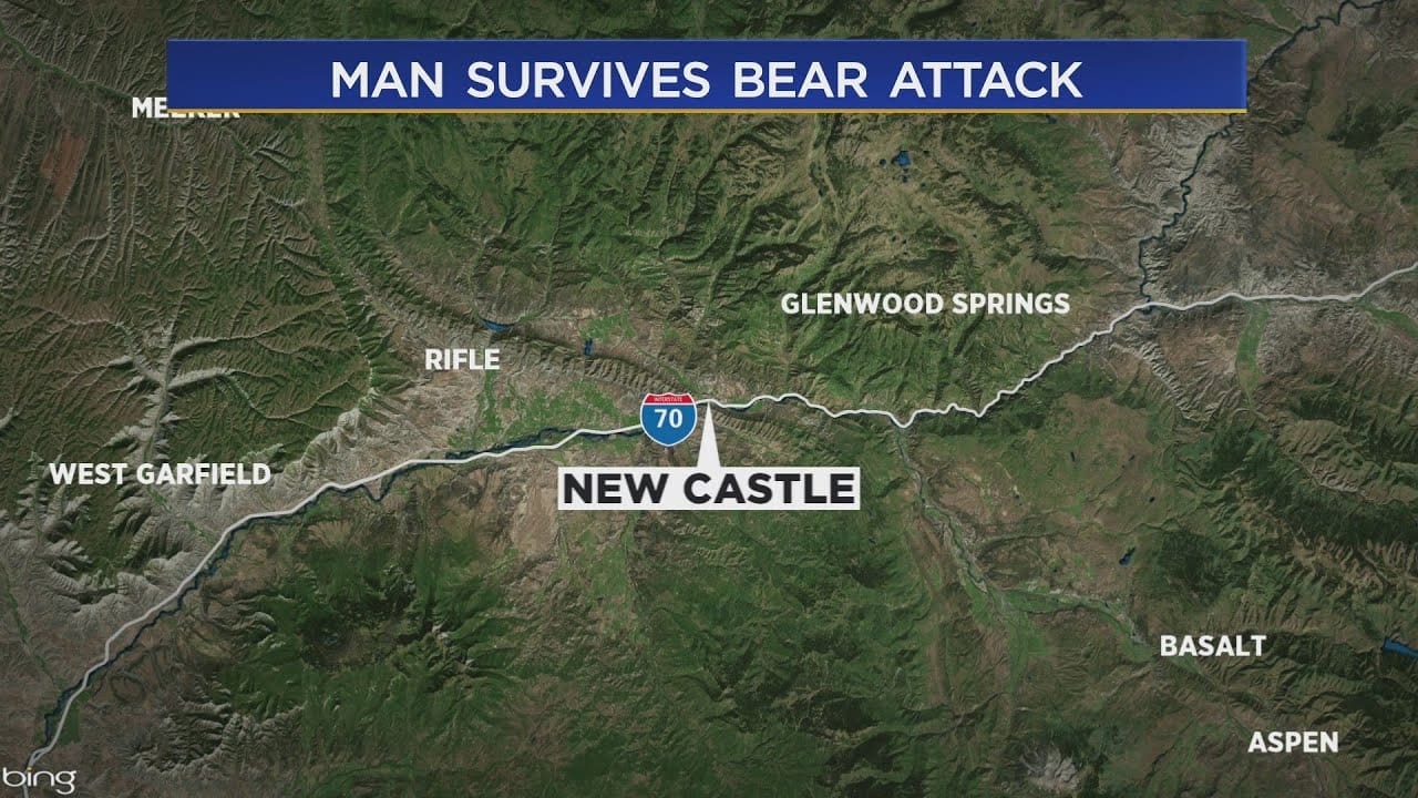 Colorado Man Survives Backyard Bear Attack