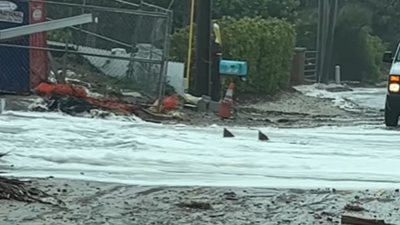 Sharks In The Road? Video From Tropical Storm Nicole Going Viral