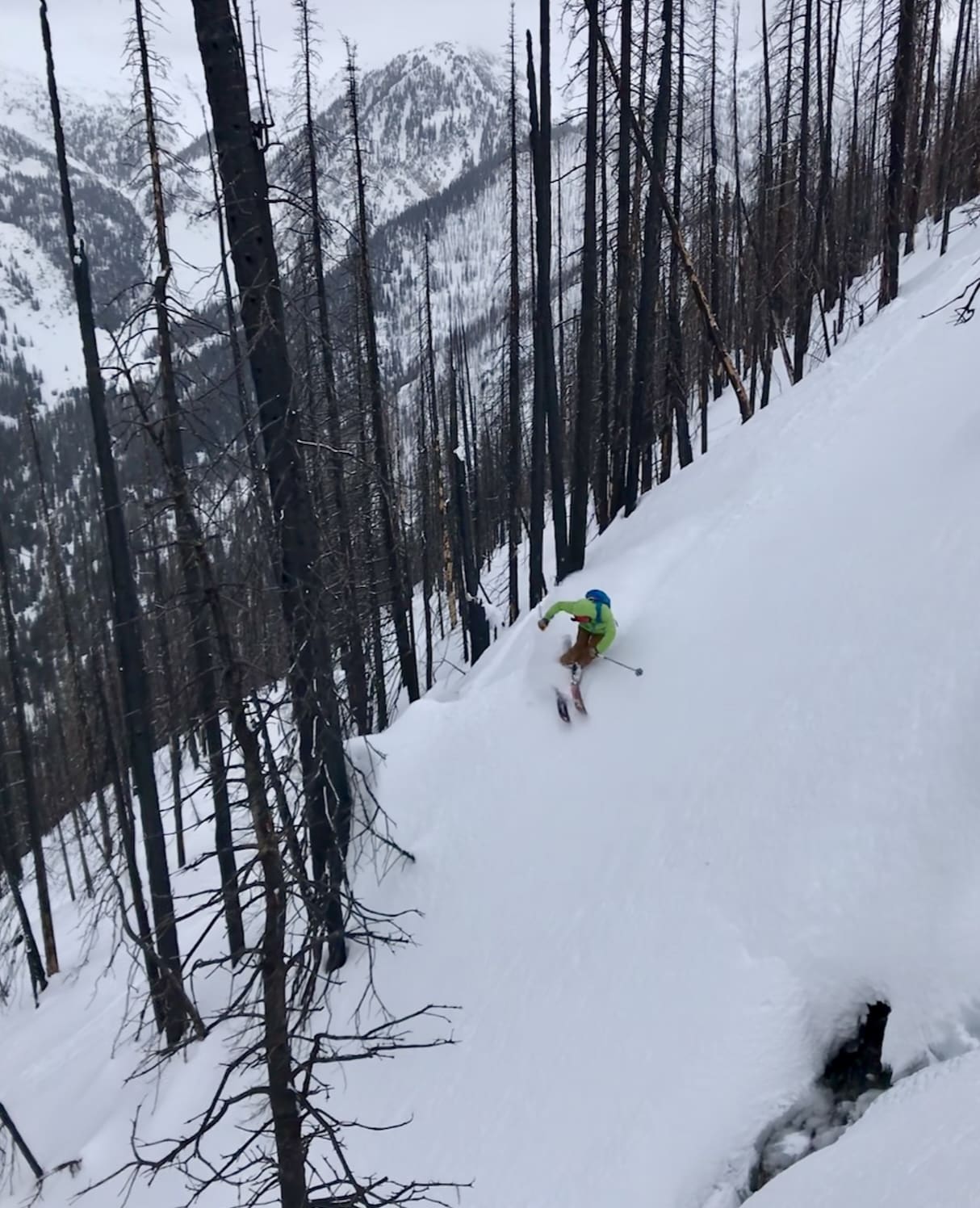 The Evolution of Ski Runs: From Natural Paths to Advanced Terrain ...