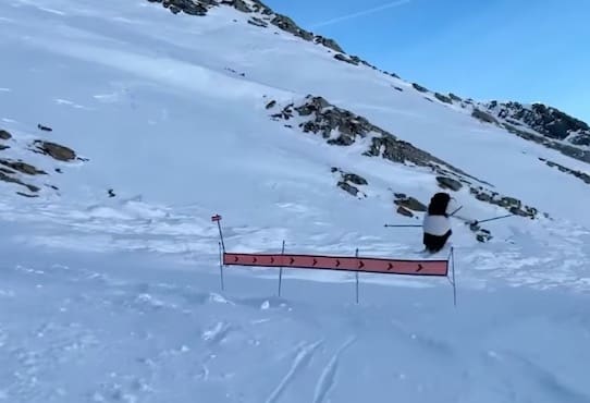 VIDEO: Candide’s Resort Style Skiing Is The Stuff of Legends